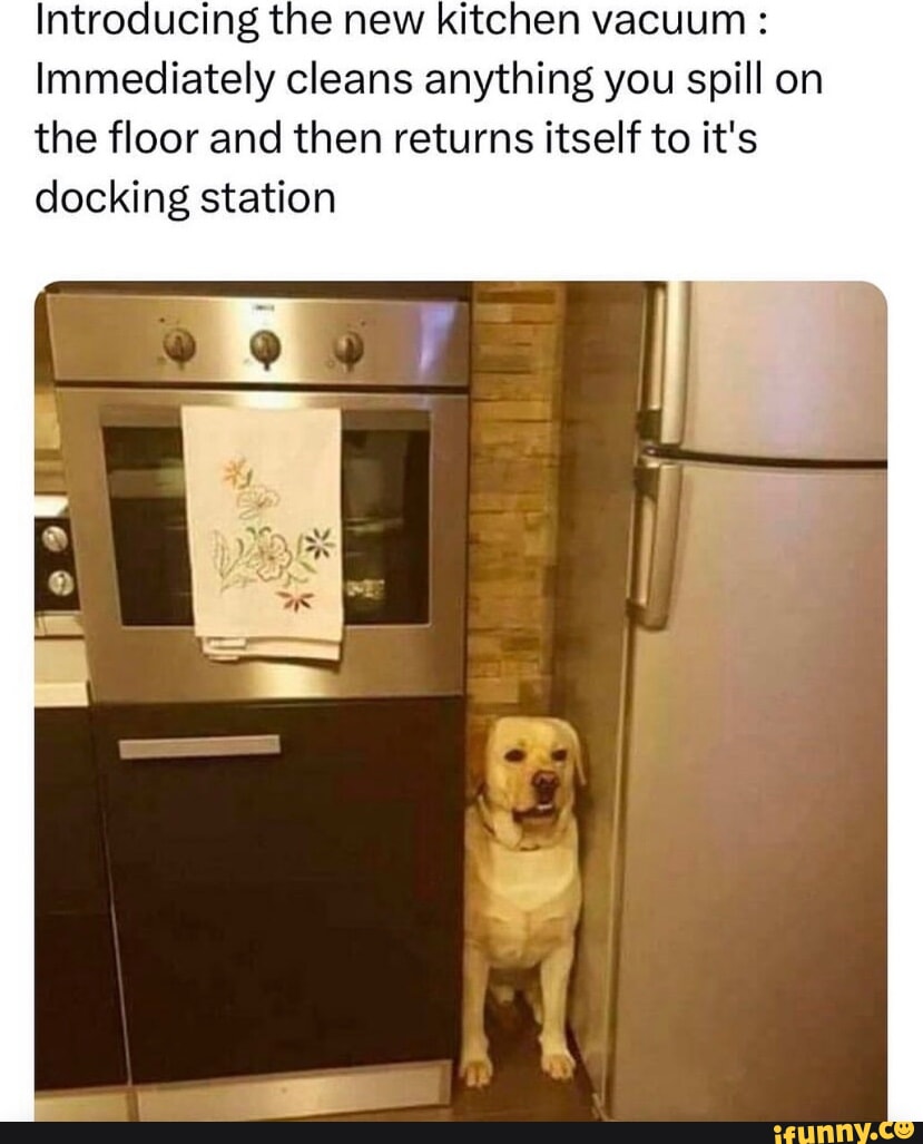 Docking memes. Best Collection of funny Docking pictures on iFunny