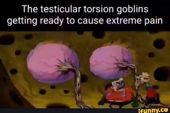 The testicular torsion goblins getting ready to cause extreme pain - iFunny