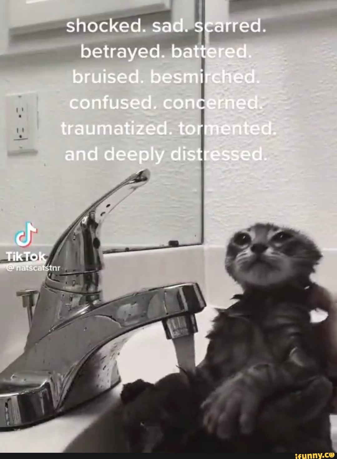 Shocked Sad Scarred Betrayed Battered Bruised Besmirched Confused