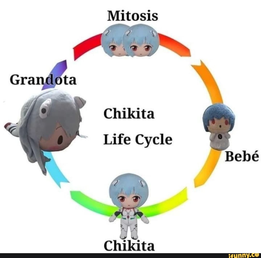 Mitosis memes. Best Collection of funny Mitosis pictures on iFunny