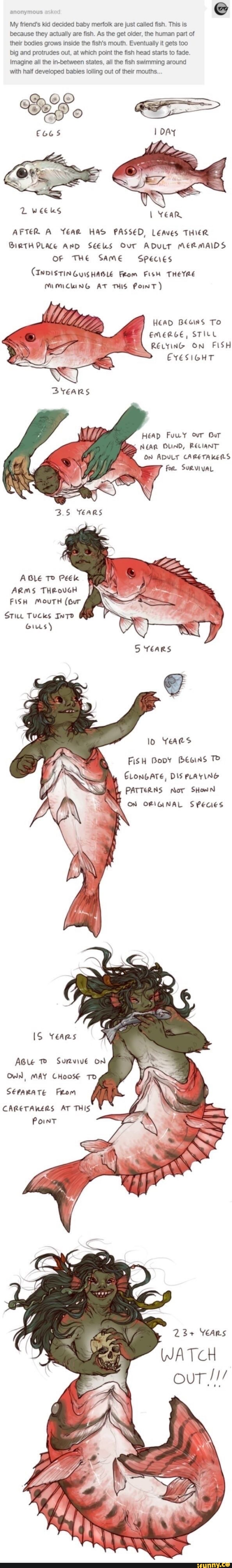 My friend's kid decided baby merfolk are just called fish. This is ...