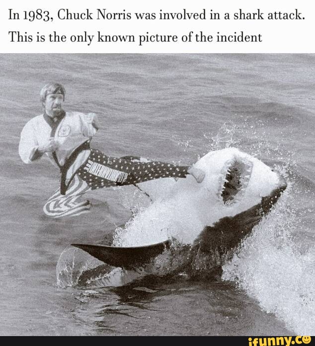 In 1983, Chuck Norris was involved in a shark attack. This is the only ...