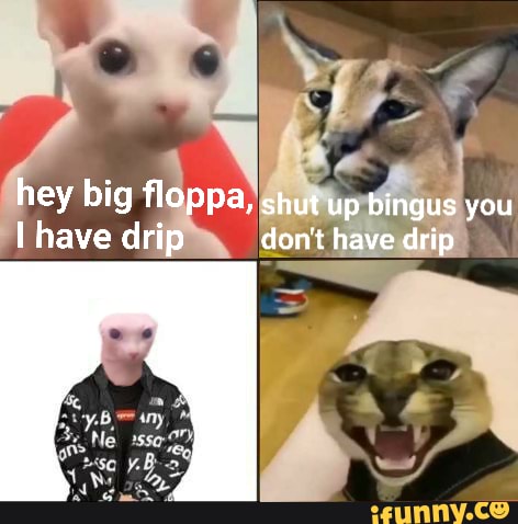 Hey big floppa, shut up bingus you have drip don't have drip - iFunny