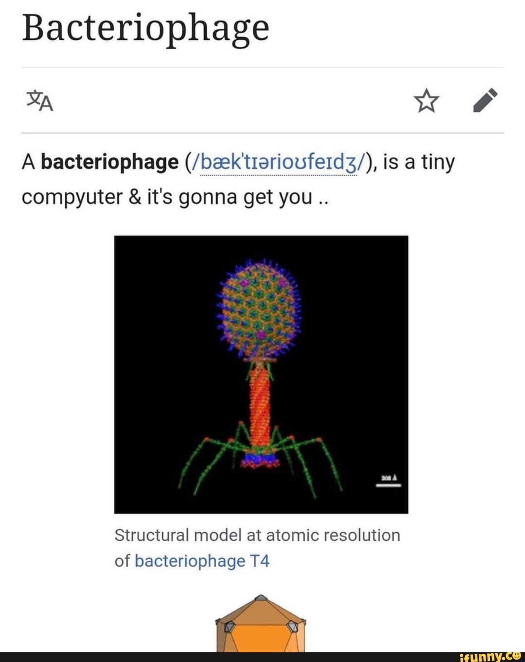 Bacteriophage memes. Best Collection of funny Bacteriophage pictures on ...