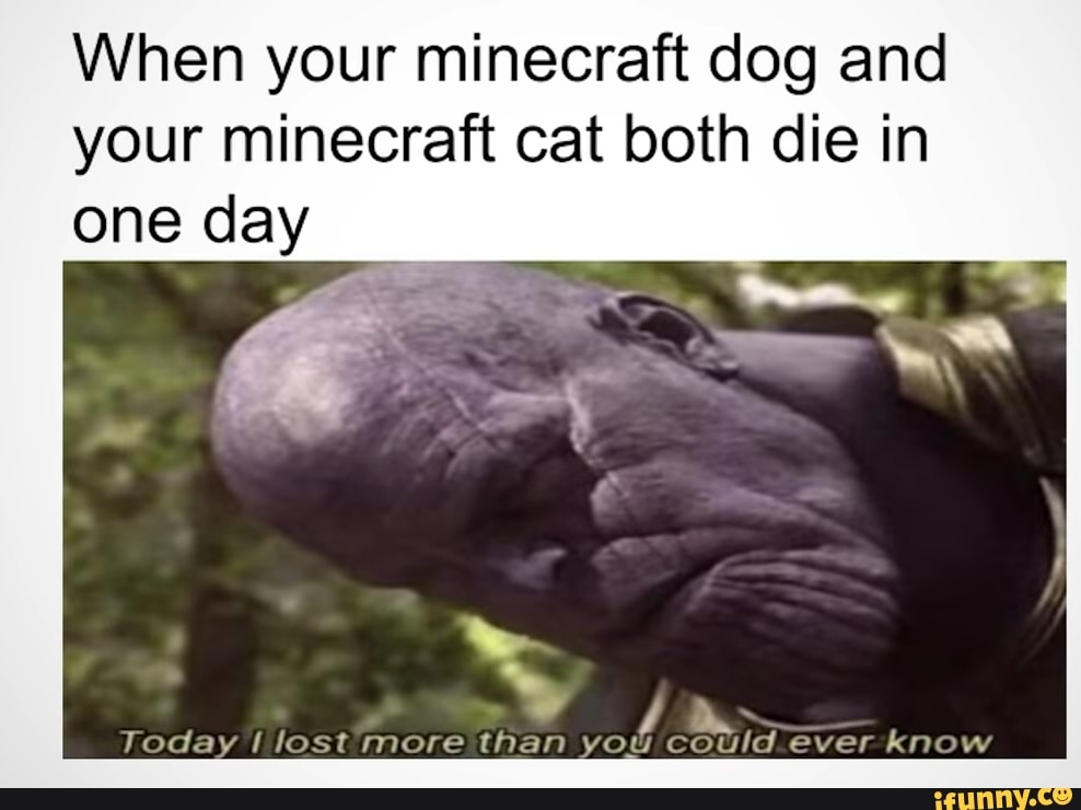When your minecraft dog and your minecraft cat both die in one day - iFunny