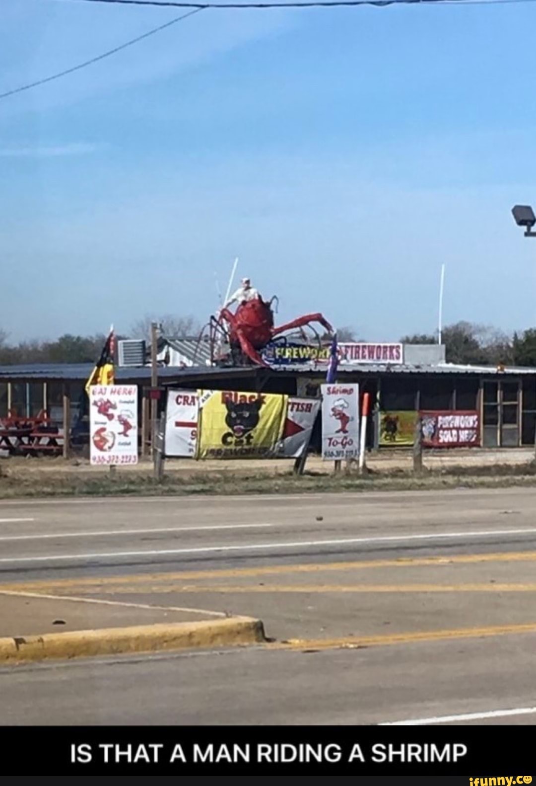 IS THAT A MAN RIDING A SHRIMP - iFunny