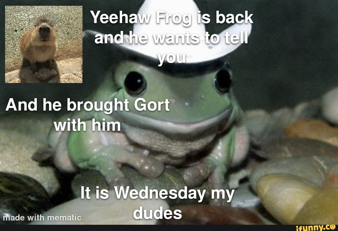 Yeeha Frog ts back and tell you And he brought Gort with him It is ...