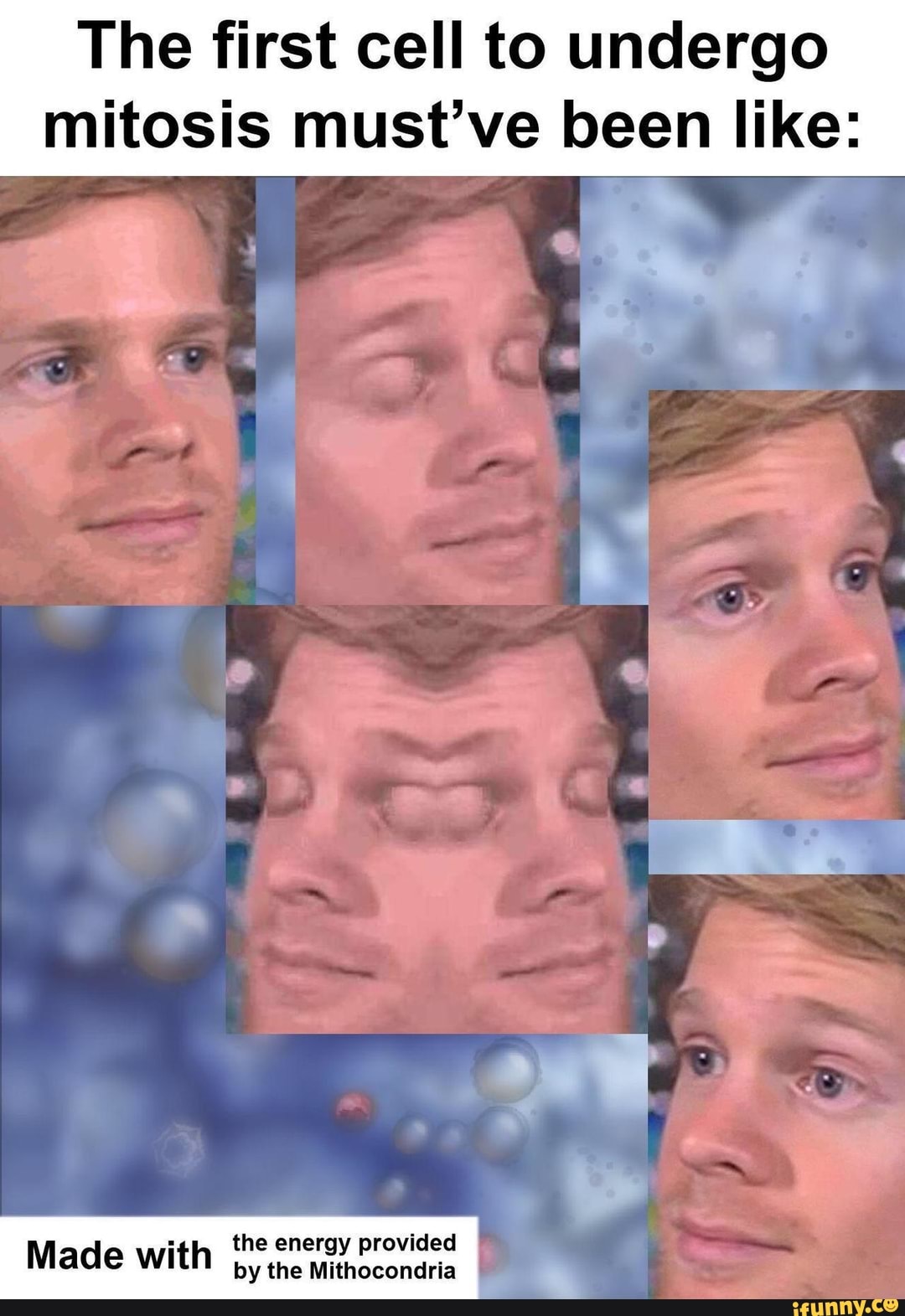 The first cell to undergo mitosis must’ve been like: - the energy ...