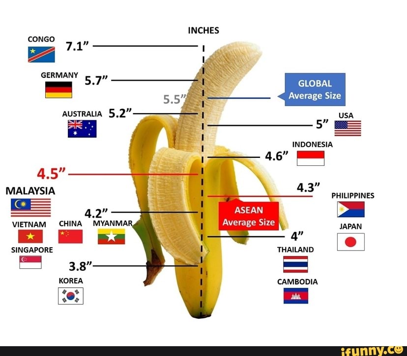 INCHES CONGO 7.1" GERMANY = 5.7 GLOBAL Average Size AUSTRALIA 5,2" 5 ...