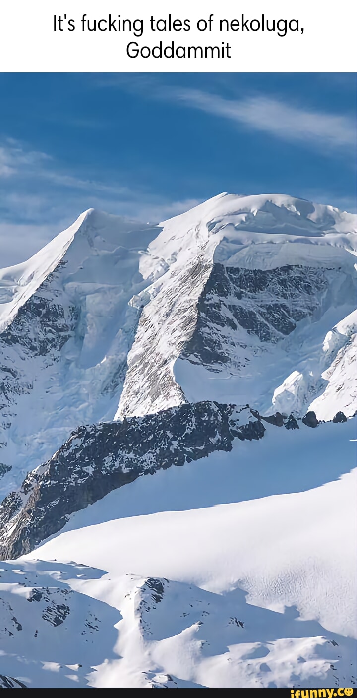 Nekoluga memes. Best Collection of funny Nekoluga pictures on iFunny