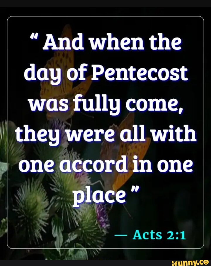 Pentecost memes. Best Collection of funny Pentecost pictures on iFunny