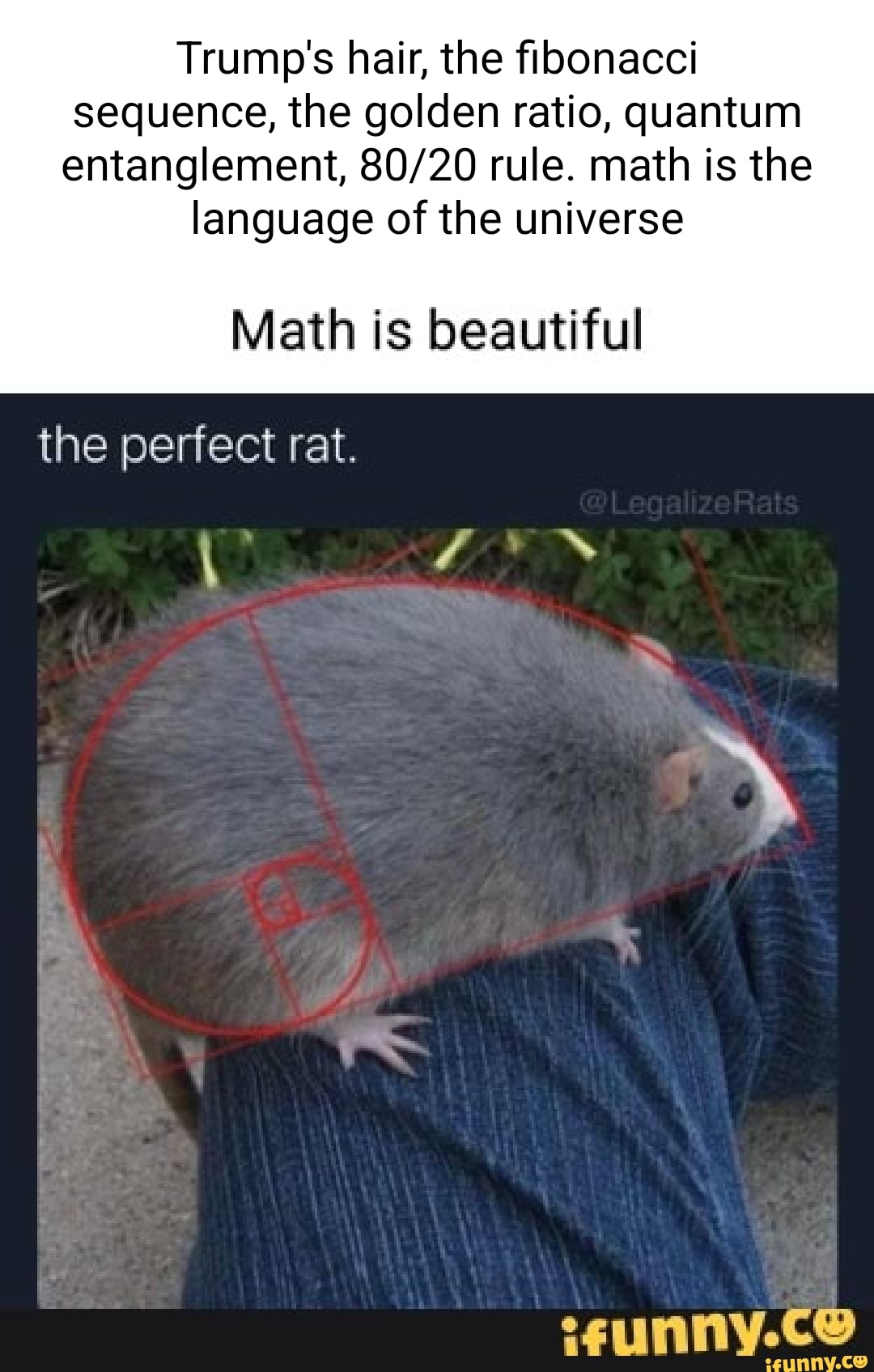 Trump's hair, the fibonacci sequence, the golden ratio, quantum ...