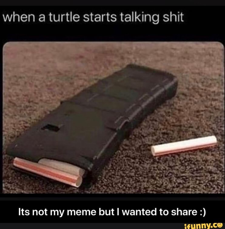 When a turtle starts talking shit Its not my meme but I wanted to share ...