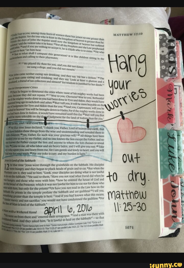 Noe memes. Best Collection of funny Noe pictures on iFunny