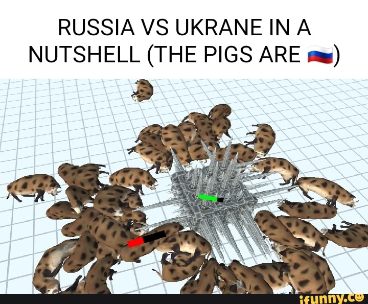 RUSSIA VS UKRANE IN A NUTSHELL (THE PIGS ARE ms) - iFunny