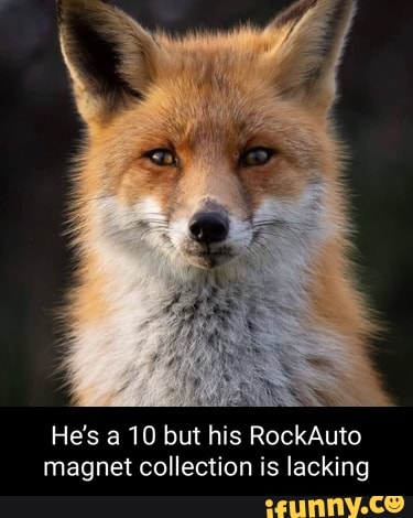 Rockauto memes. Best Collection of funny Rockauto pictures on iFunny