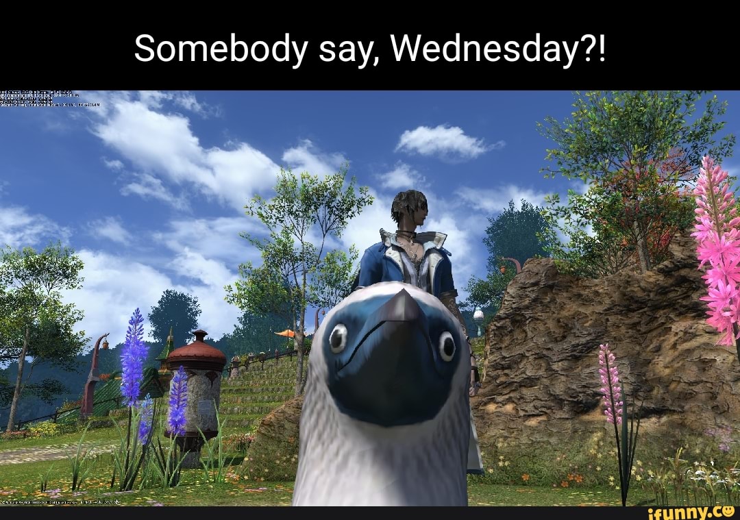 Somebody say, Wednesday?! - iFunny
