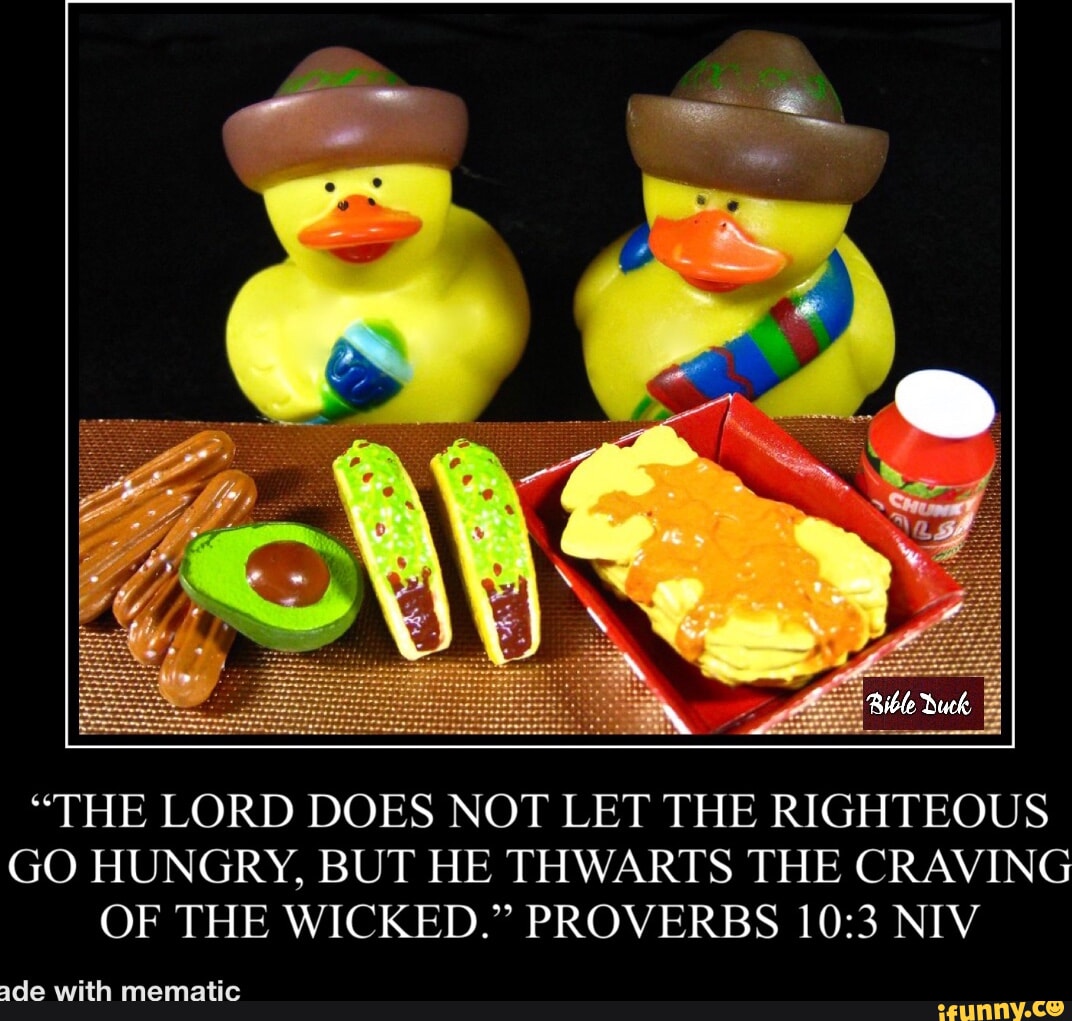 Duck "THE LORD DOES NOT LET THE RIGHTEOUS GO HUNGRY, BUT HE THWARTS THE ...