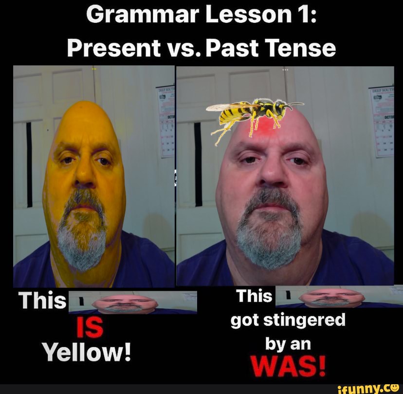 Grammar Lesson 1: Present vs. Past Tense hiss is Yellow! This got ...