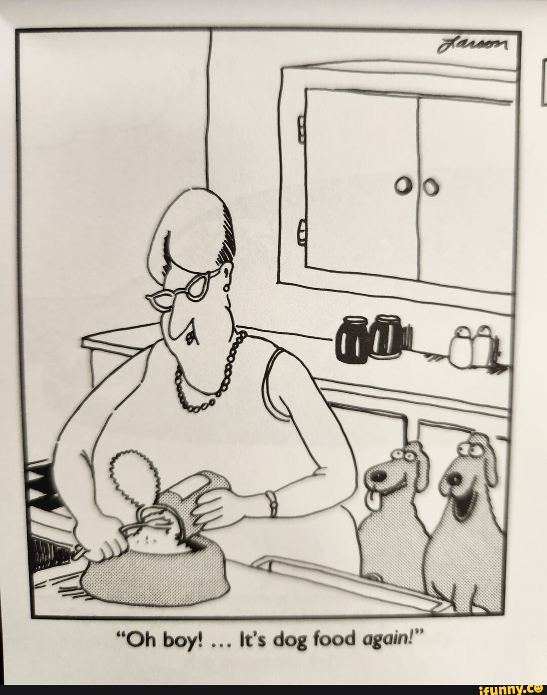 Or "Oh boy! It's dog food again!" - iFunny