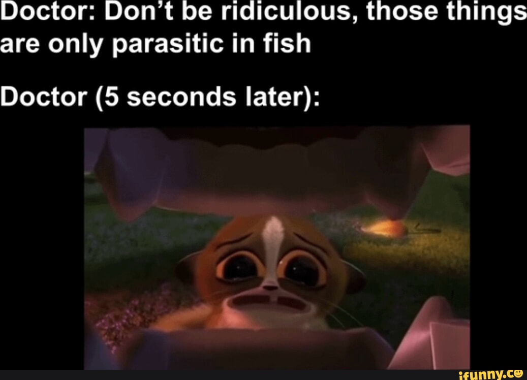 Parasite memes. Best Collection of funny Parasite pictures on iFunny