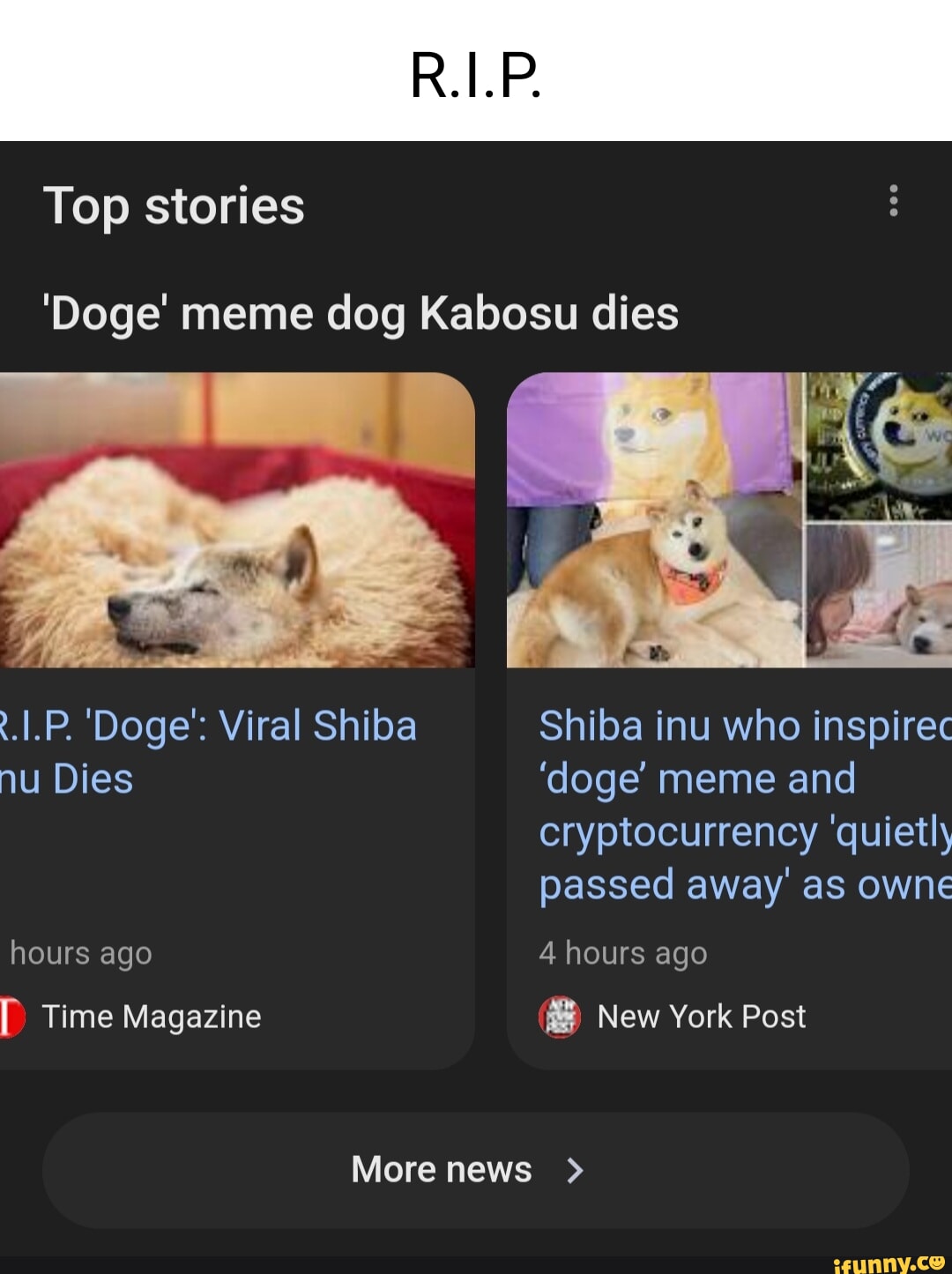 Top stories 'Doge' meme dog Kabosu dies 'Doge': Viral Shiba Shiba inu who inspirec nu Dies 'doge ...