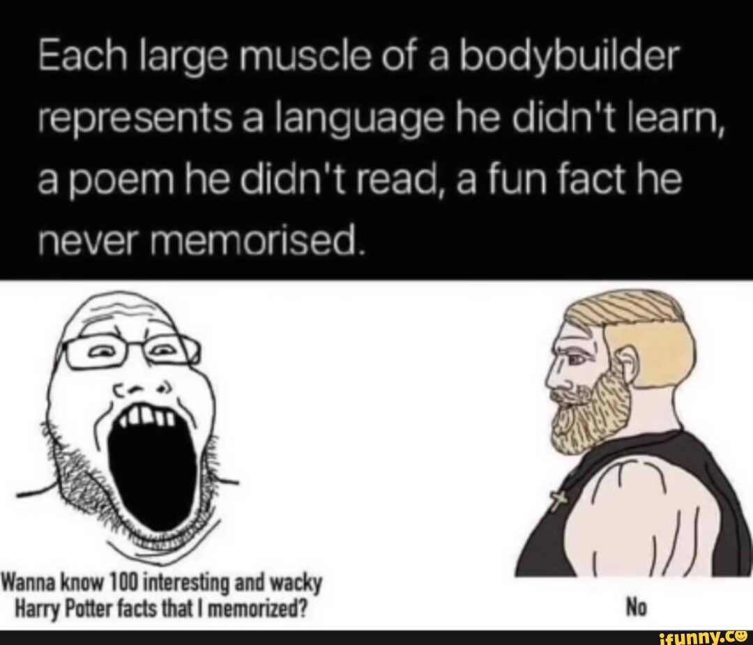 Each large muscle of a bodybuilder represents a language he didn't ...