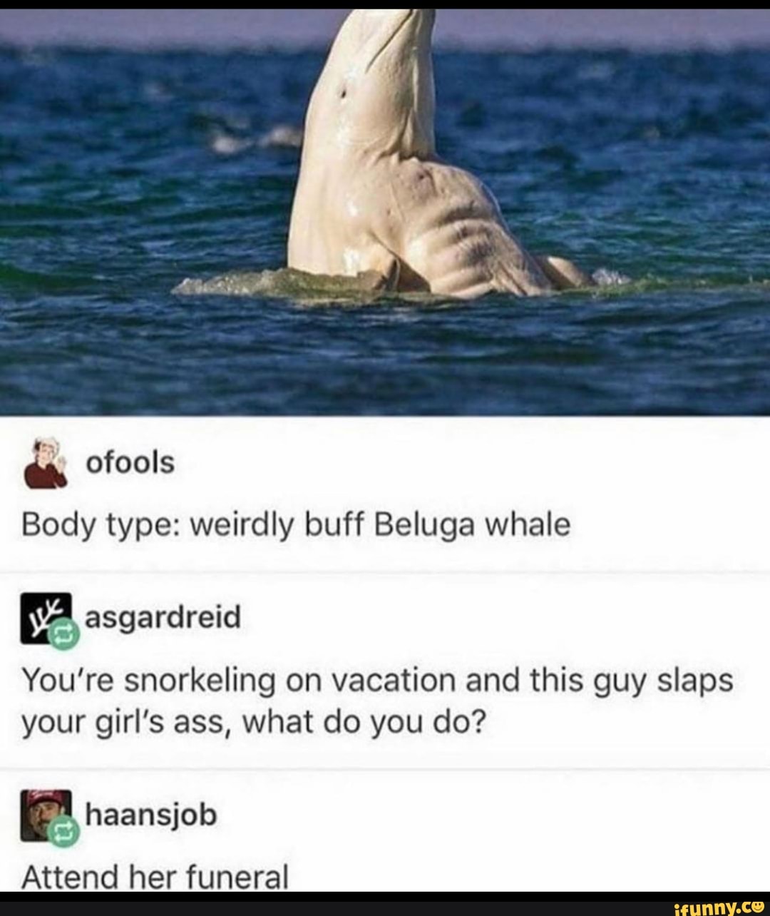 Body type: weirdly buff Beluga whale You're snorkeling on vacation and ...