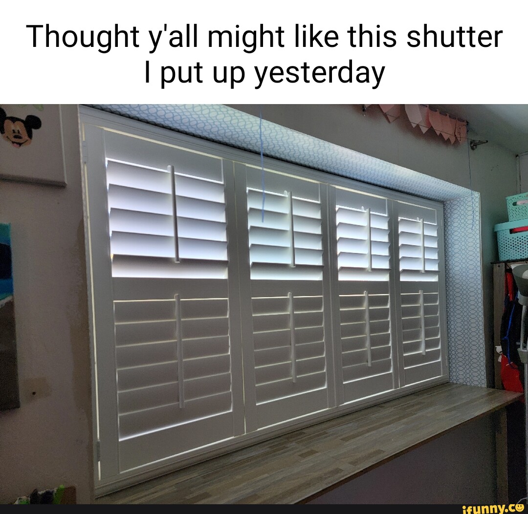 Shutter memes. Best Collection of funny Shutter pictures on iFunny