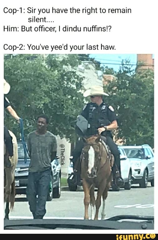 Nuffins memes. Best Collection of funny Nuffins pictures on iFunny