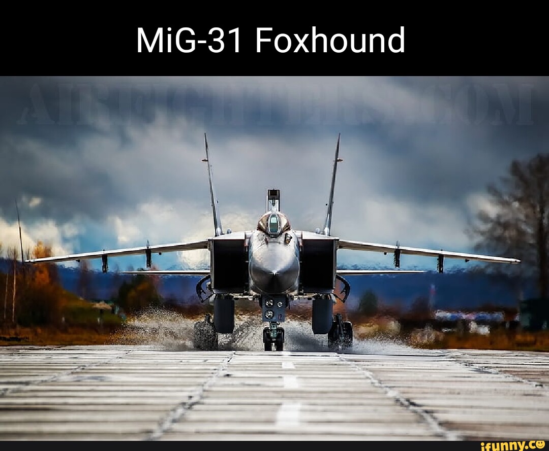 Foxhound memes. Best Collection of funny Foxhound pictures on iFunny