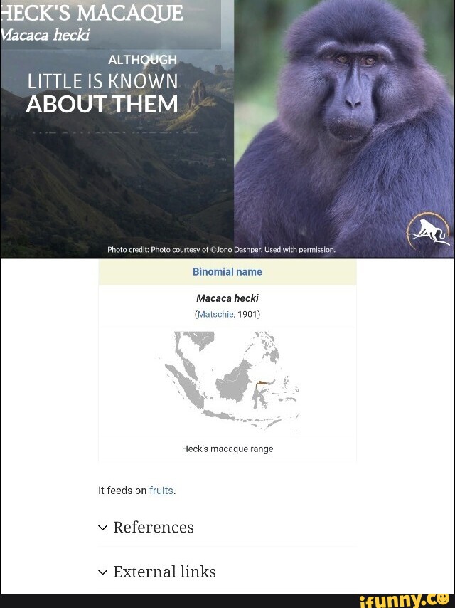 Binomial memes. Best Collection of funny Binomial pictures on iFunny