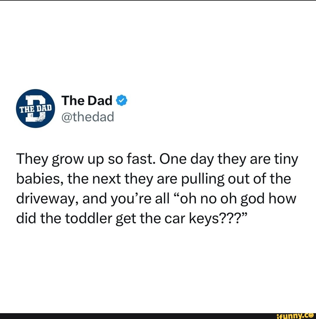 Video memes w3Irbtpb7 by leeewee: 1.0K comments - iFunny