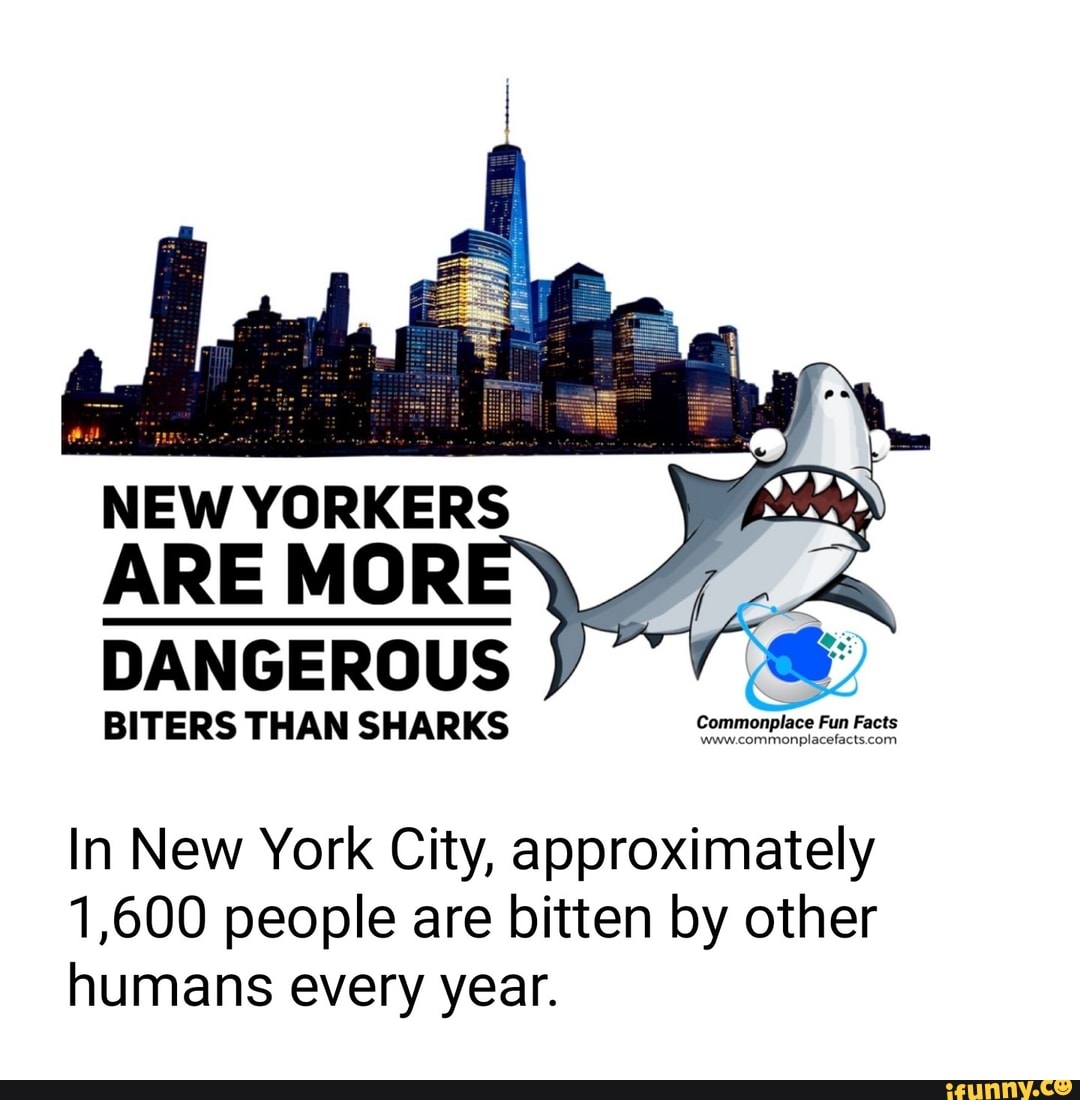 NEW YORKERS ARE MOR DANGEROUS BITERS THAN SHARKS Commonplace Fun Facts ...