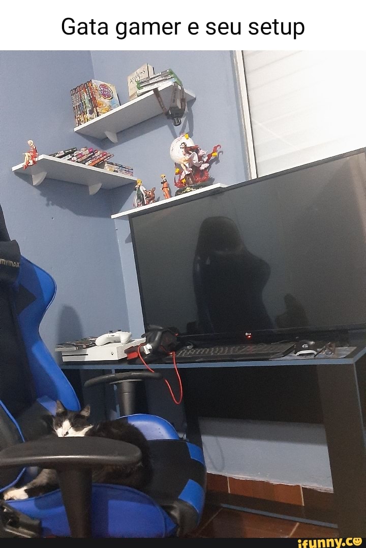 Gata gamer e seu setup - iFunny Brazil