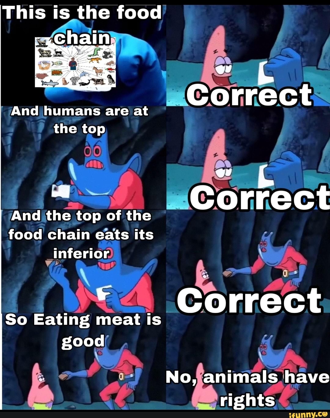 This is the food ov L Correct And humans are at the top Correct And the ...