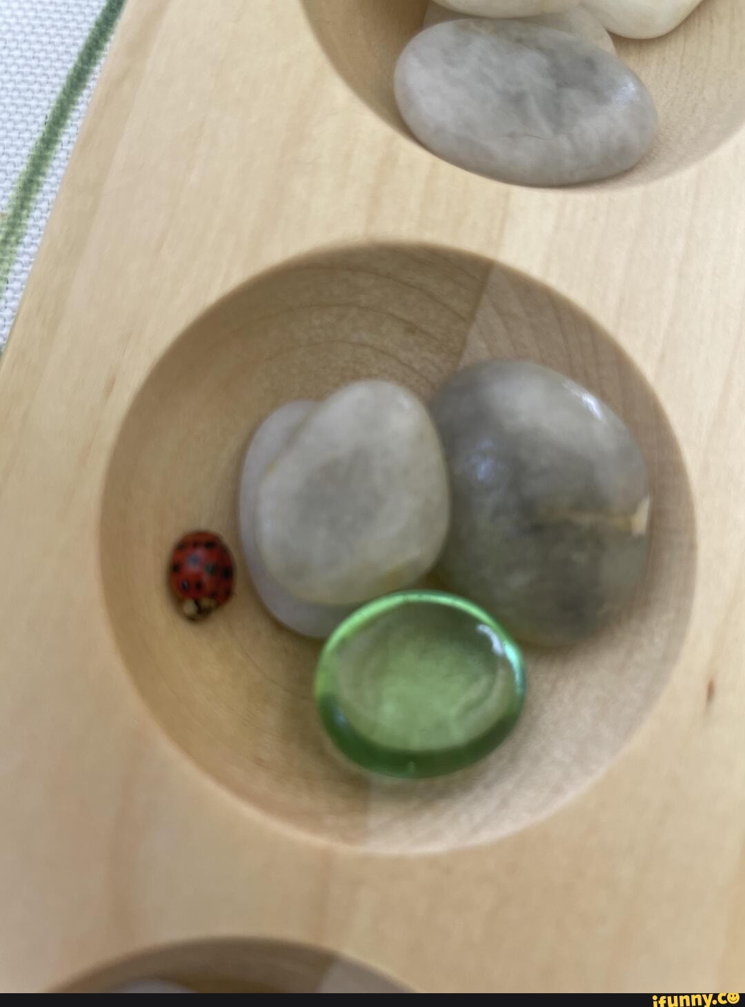Mancala memes. Best Collection of funny Mancala pictures on iFunny