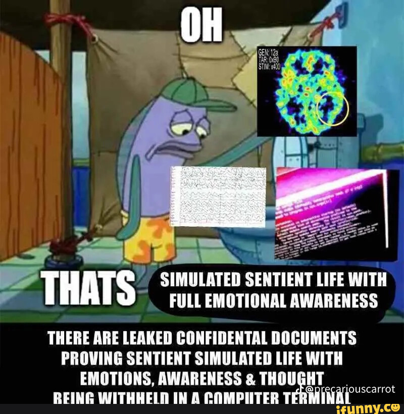 THATS SIMULATED SENTIENT LIFE WITH FULL EMOTIONAL AWARENESS THERE ARE ...