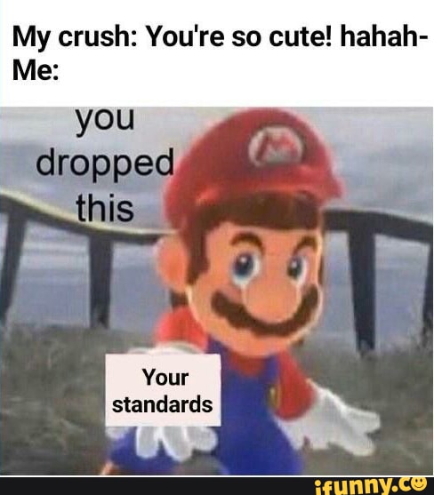 Standards memes. Best Collection of funny Standards pictures on iFunny