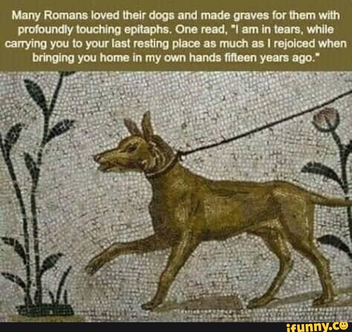 Many Romans loved their dogs and made graves for them with profoundly ...