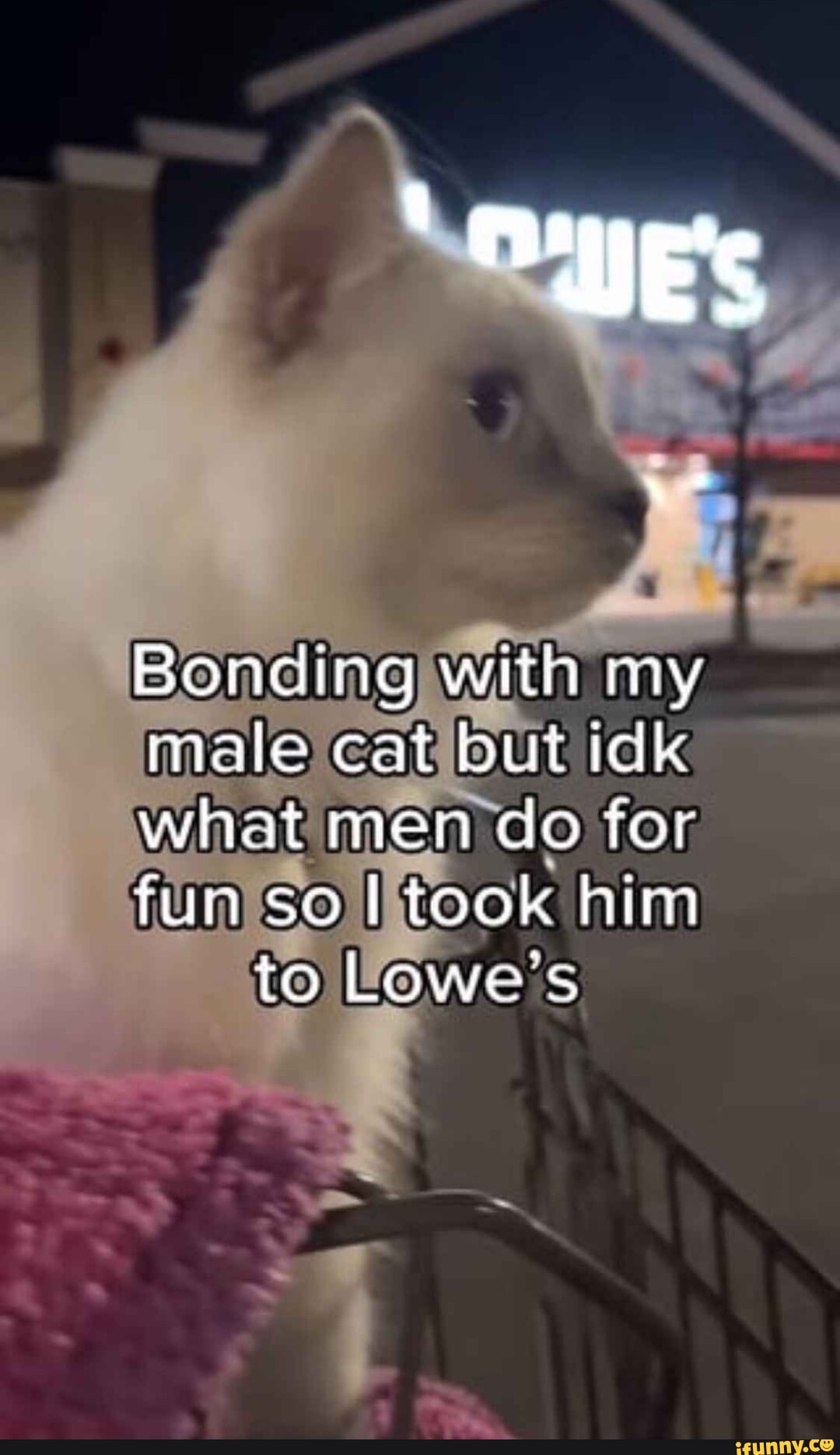 Video memes DP6WDtO3C by soroz - iFunny