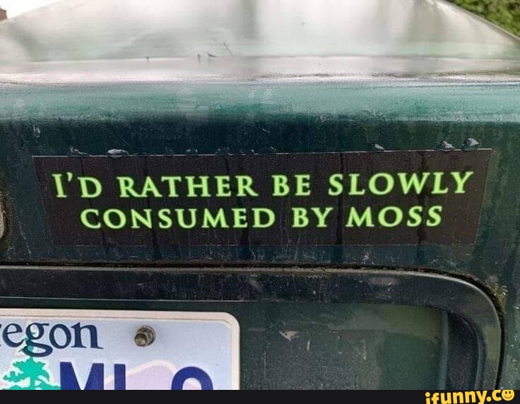 Egon memes. Best Collection of funny Egon pictures on iFunny