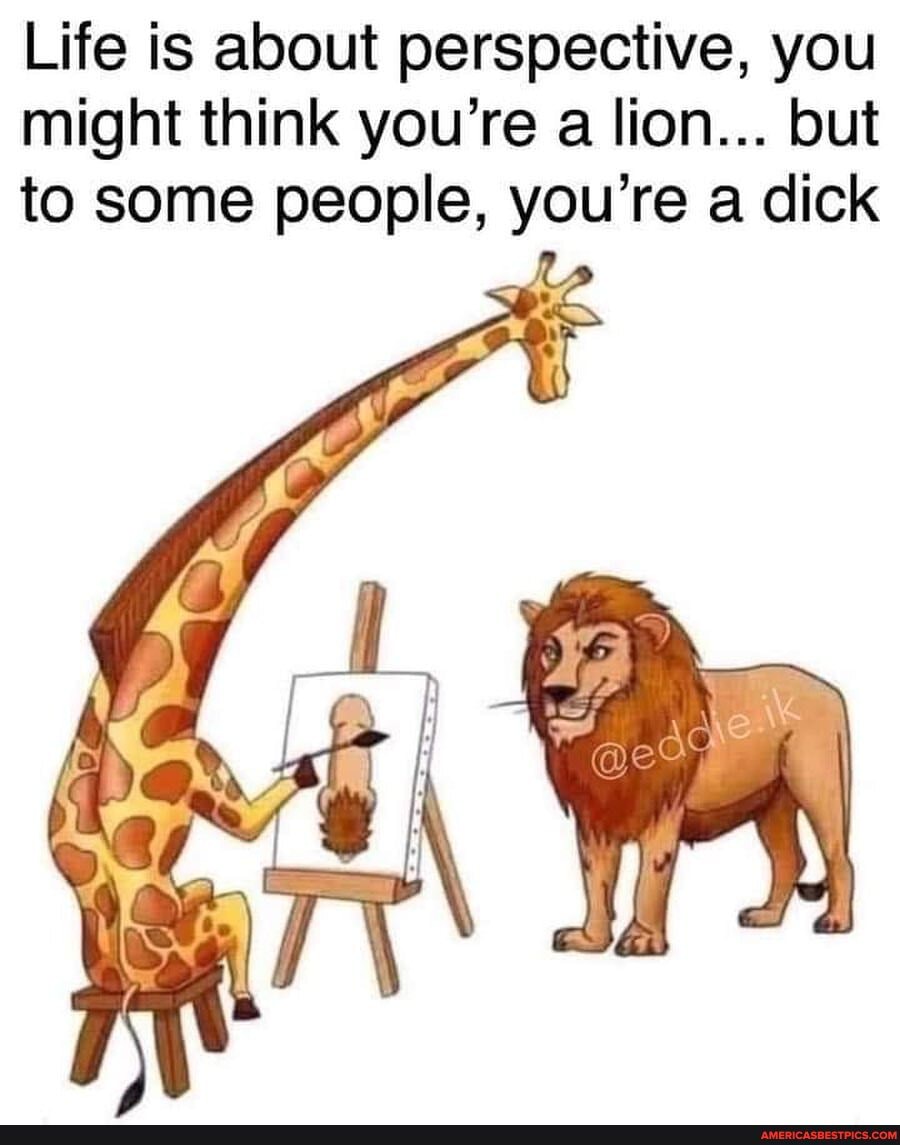 Life is about perspective, you might think you're a lion... but to some ...
