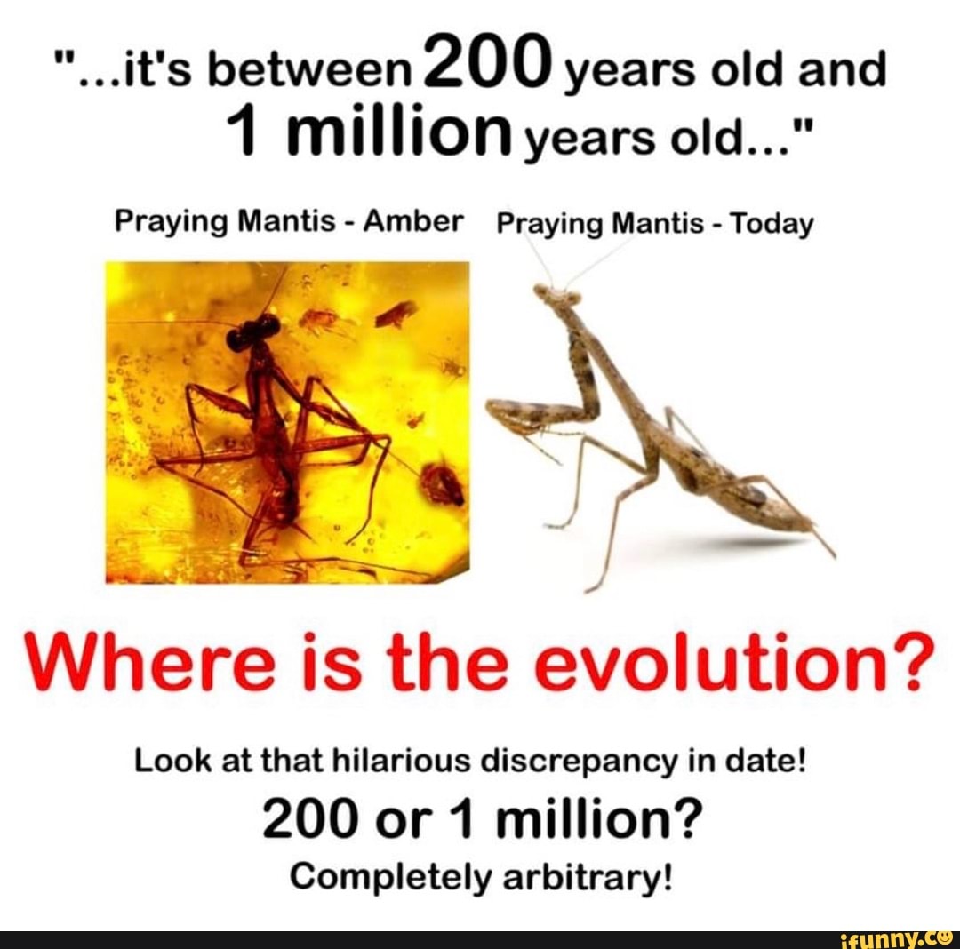 " _it's between 200 years old and 1 million years old..." Praying ...