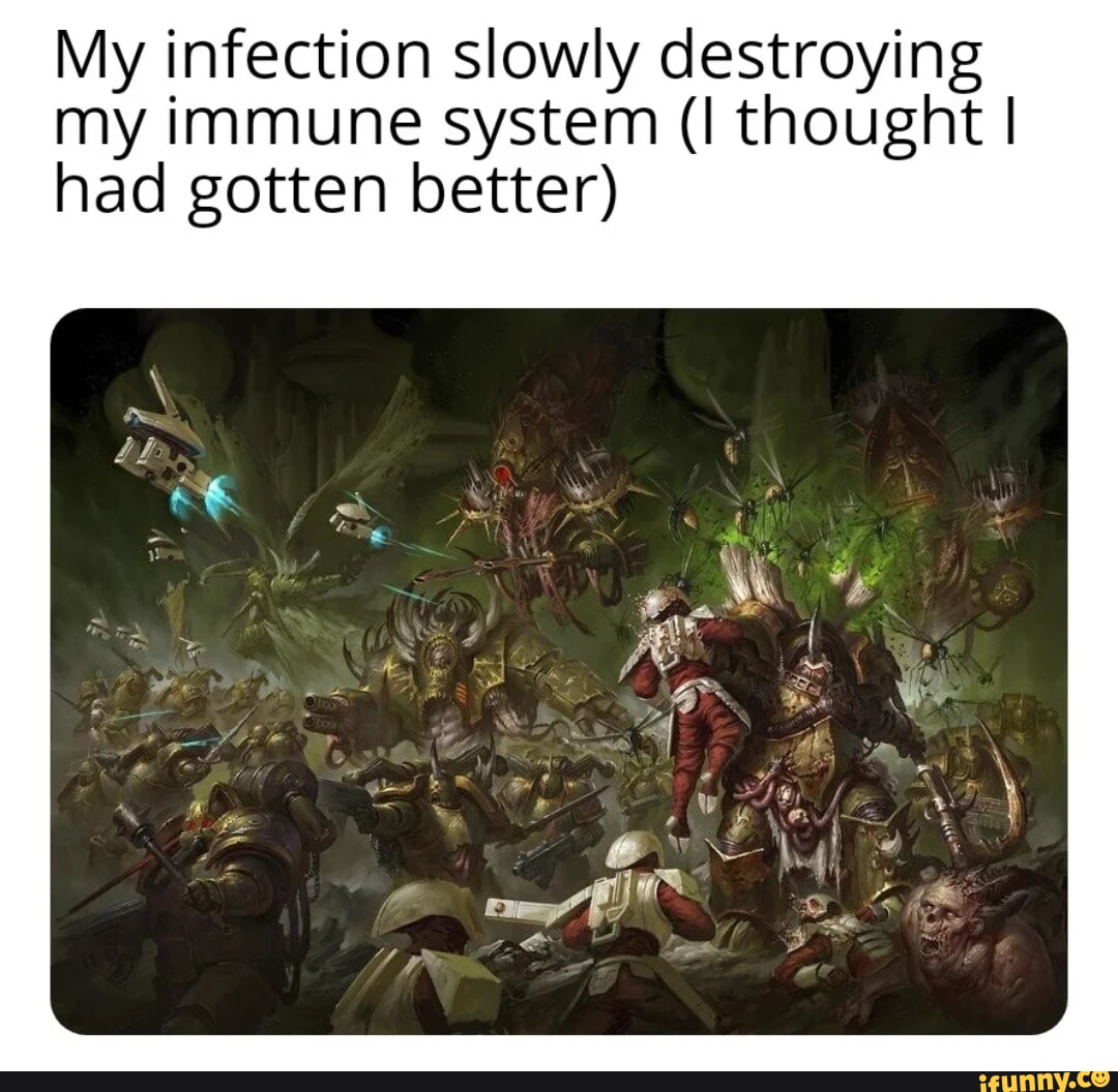 Emo Boy Vs a Goose - iFunny