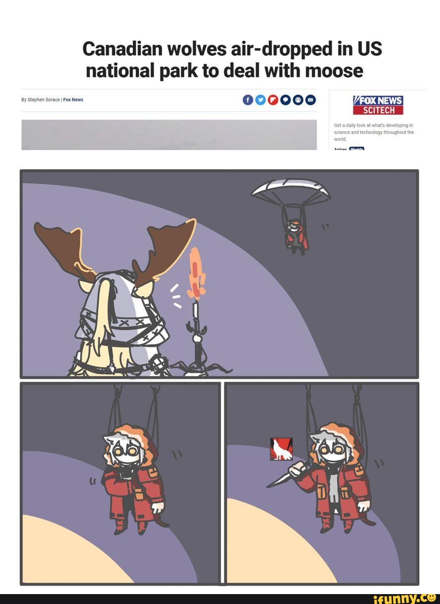 Kemono memes. Best Collection of funny Kemono pictures on iFunny