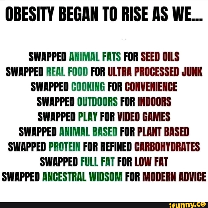 OBESITY BEGAN TO RISE AS WE... SWAPPED ANIMAL FATS FOR SEED OILS ...