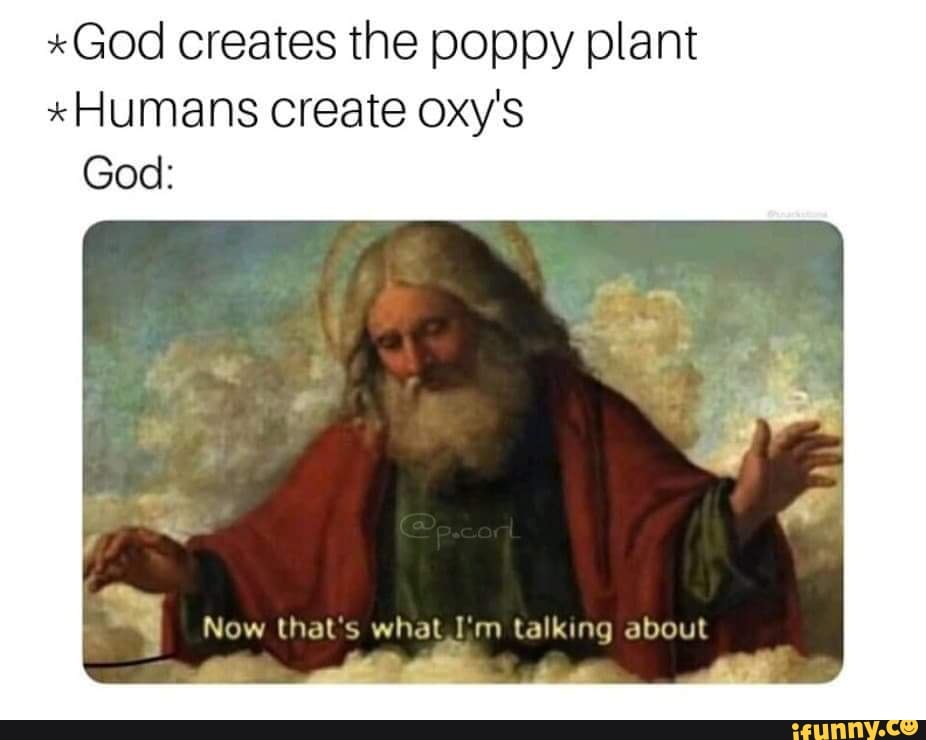 *God creates the poppy plant *Humans create oxy's God: - iFunny