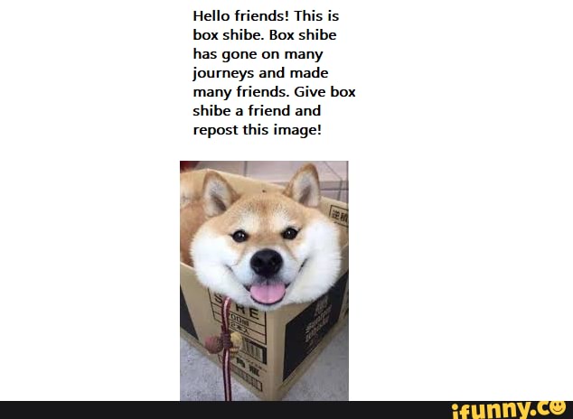 Hello friends! This is box shibe. Box shibe has gone on many journeys ...