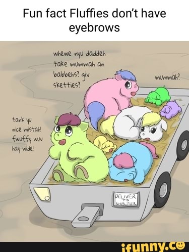 Fun fact Fluffies don't have eyebrows hone ayy daddeh FOKE widmamdh On ...